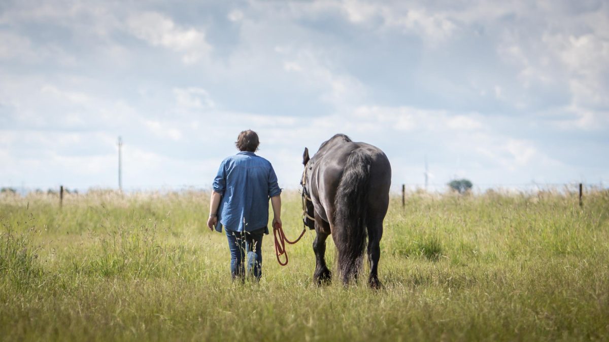 Trauerbegleiter mit Pferd in Ihrer Nähe